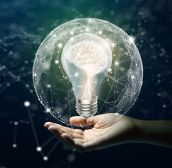 Niveosys Technologies PVT Ltd.